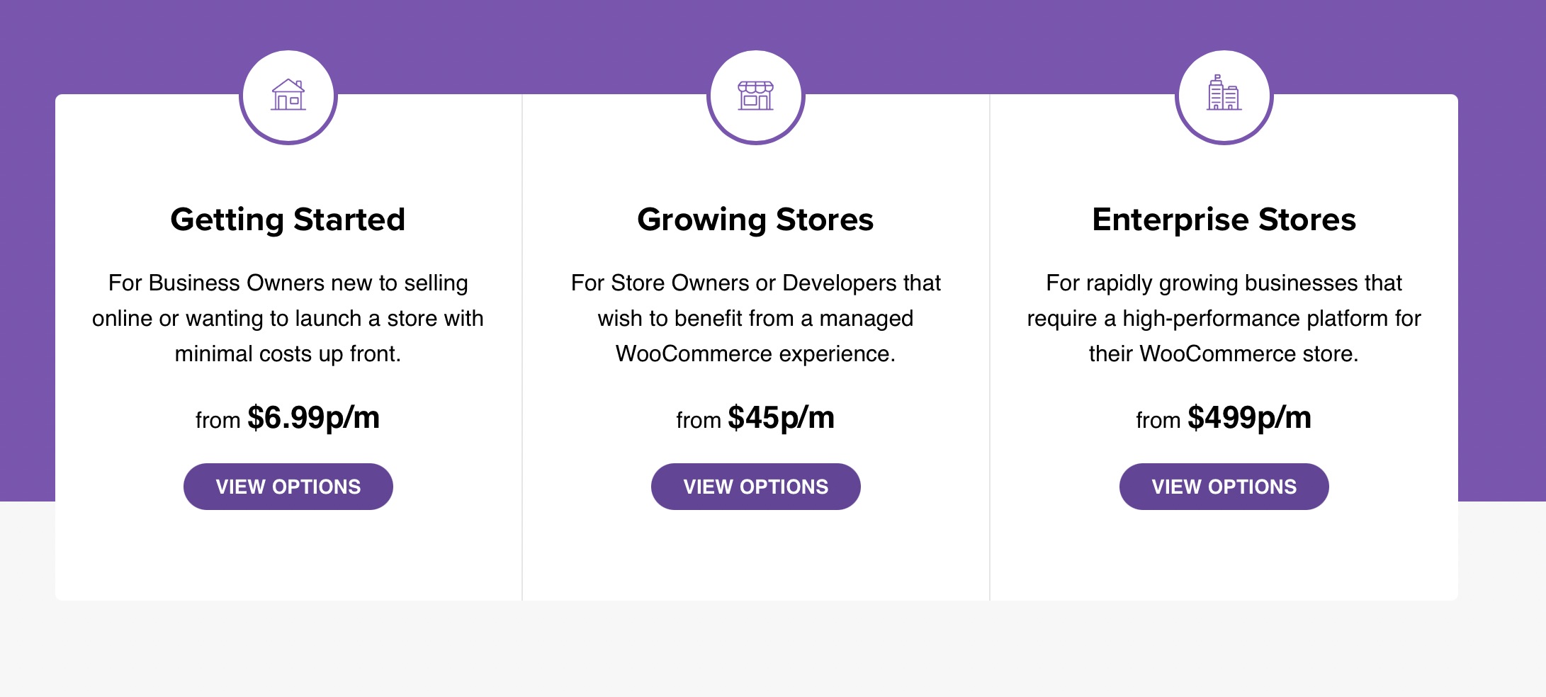 Get to Know WooCommerce: an eCommerce Startup Guide | AdLeaks